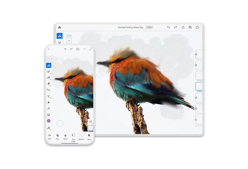 Adobe Creative Cloud - Tools für das kreative Arbeiten
